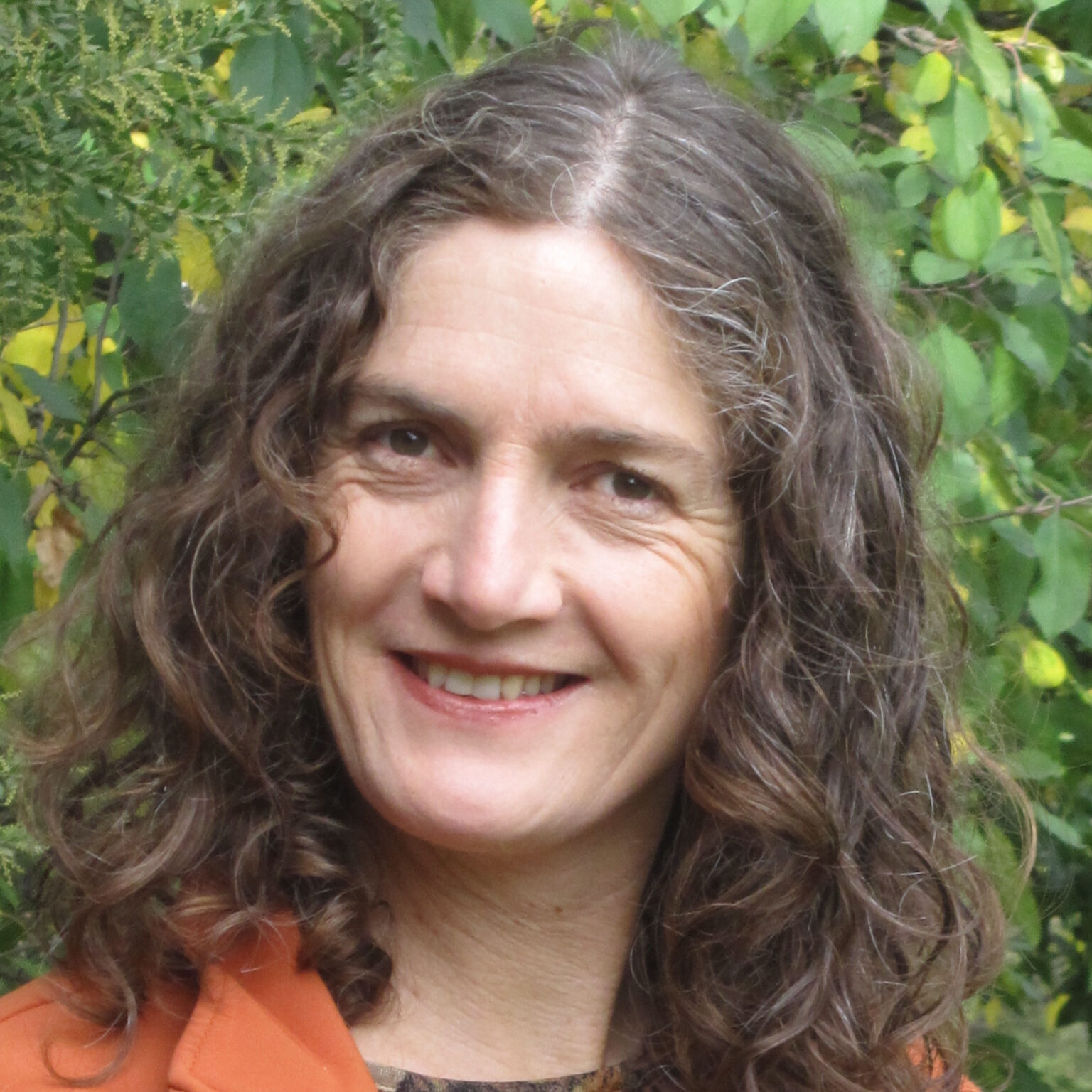 KH Landing Page - Battery Storage and Grid Integration Program